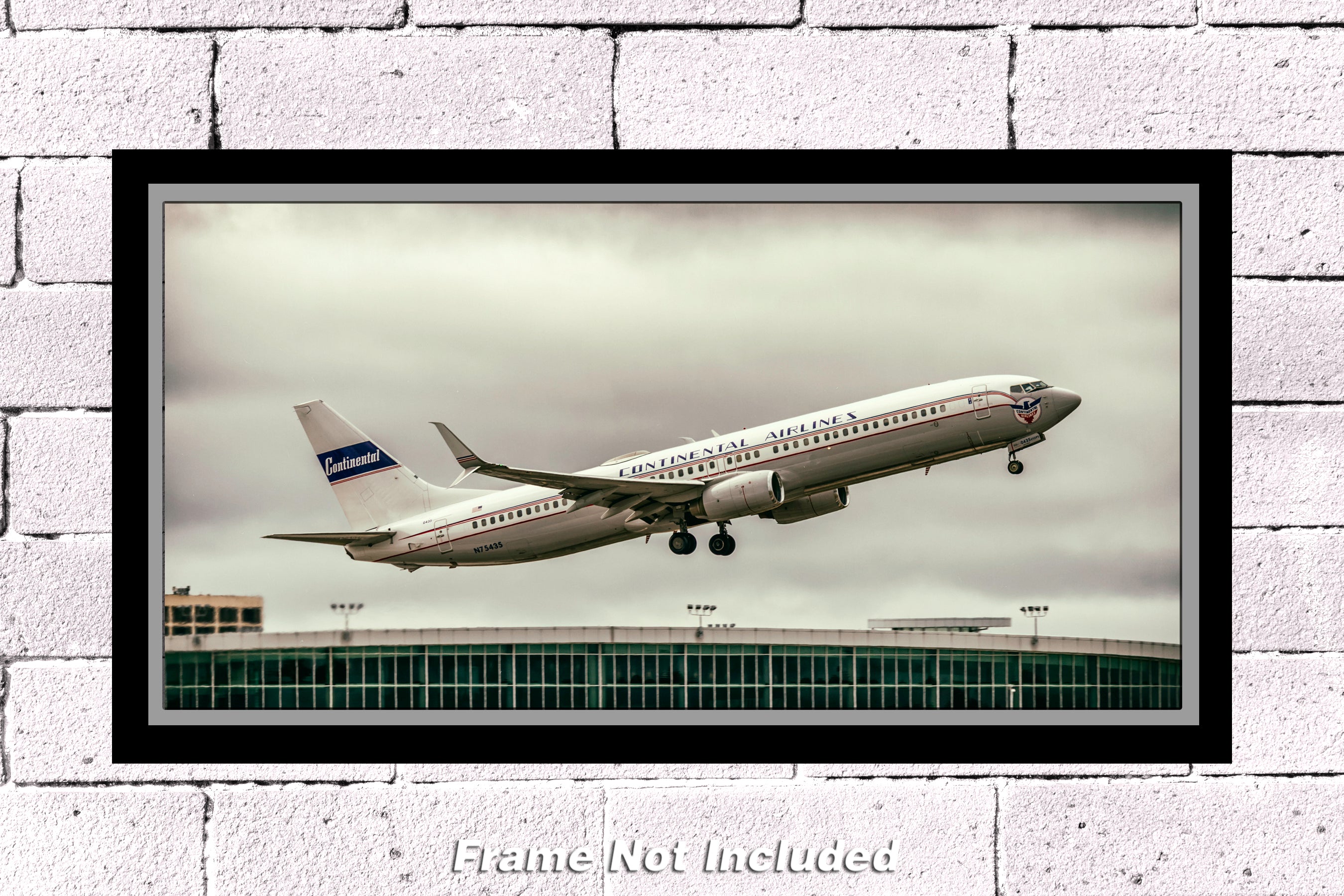 United Airlines, Continental Colors Boeing 737 Photograph (APPM10108 ...